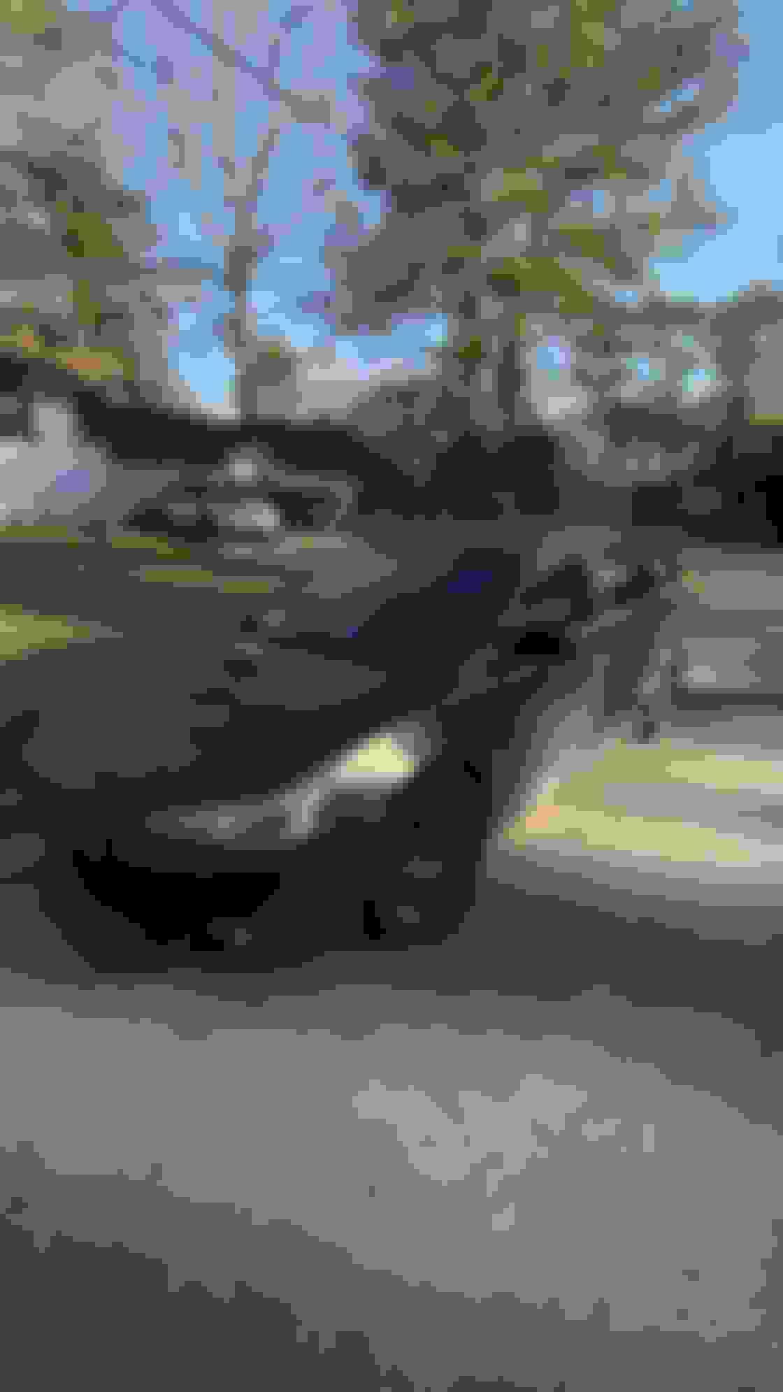 Selling my Ralliart to someone that wants to rebuild it - EvolutionM ...