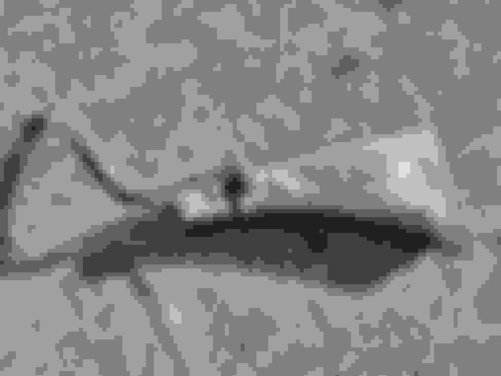 What is this? - Page 4 - Ford F150 Forum - Community of Ford Truck Fans