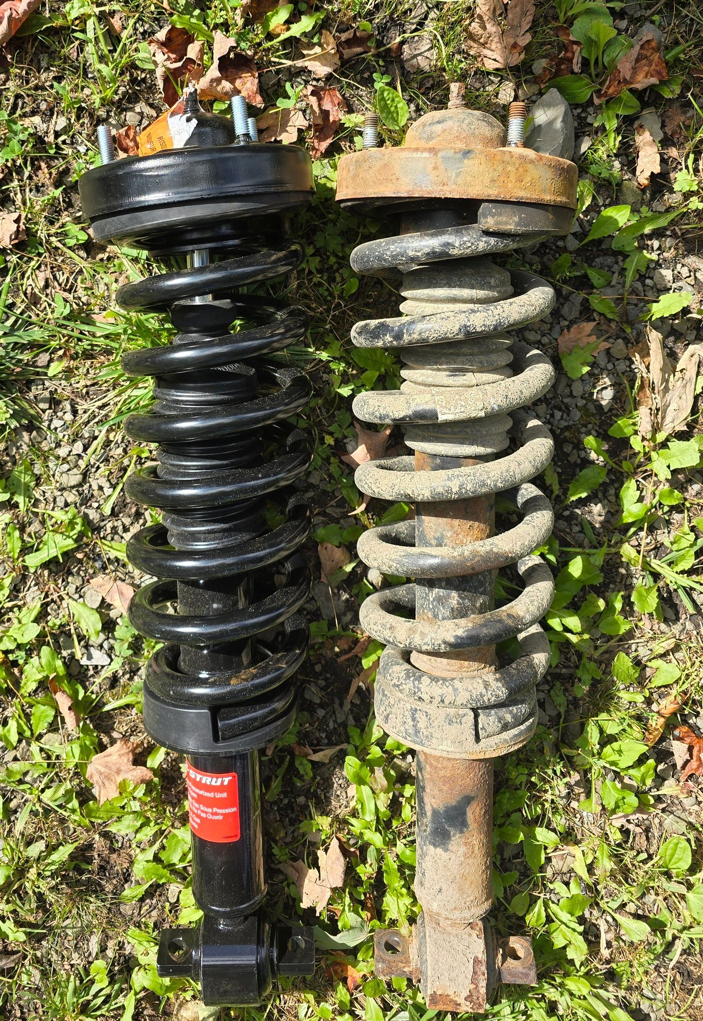 Left vs right quick strut - Ford F150 Forum - Community of Ford Truck Fans