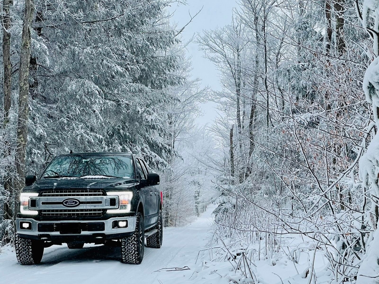 Lets see those off-road pictures - Page 351 - Ford F150 Forum ...