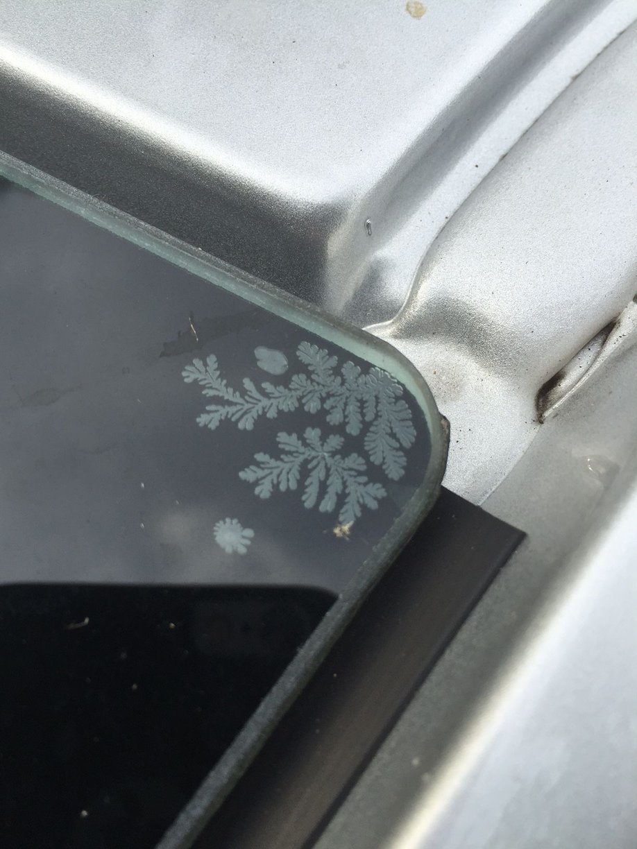 Windshield Delamination - Ford F150 Forum - Community of Ford Truck Fans