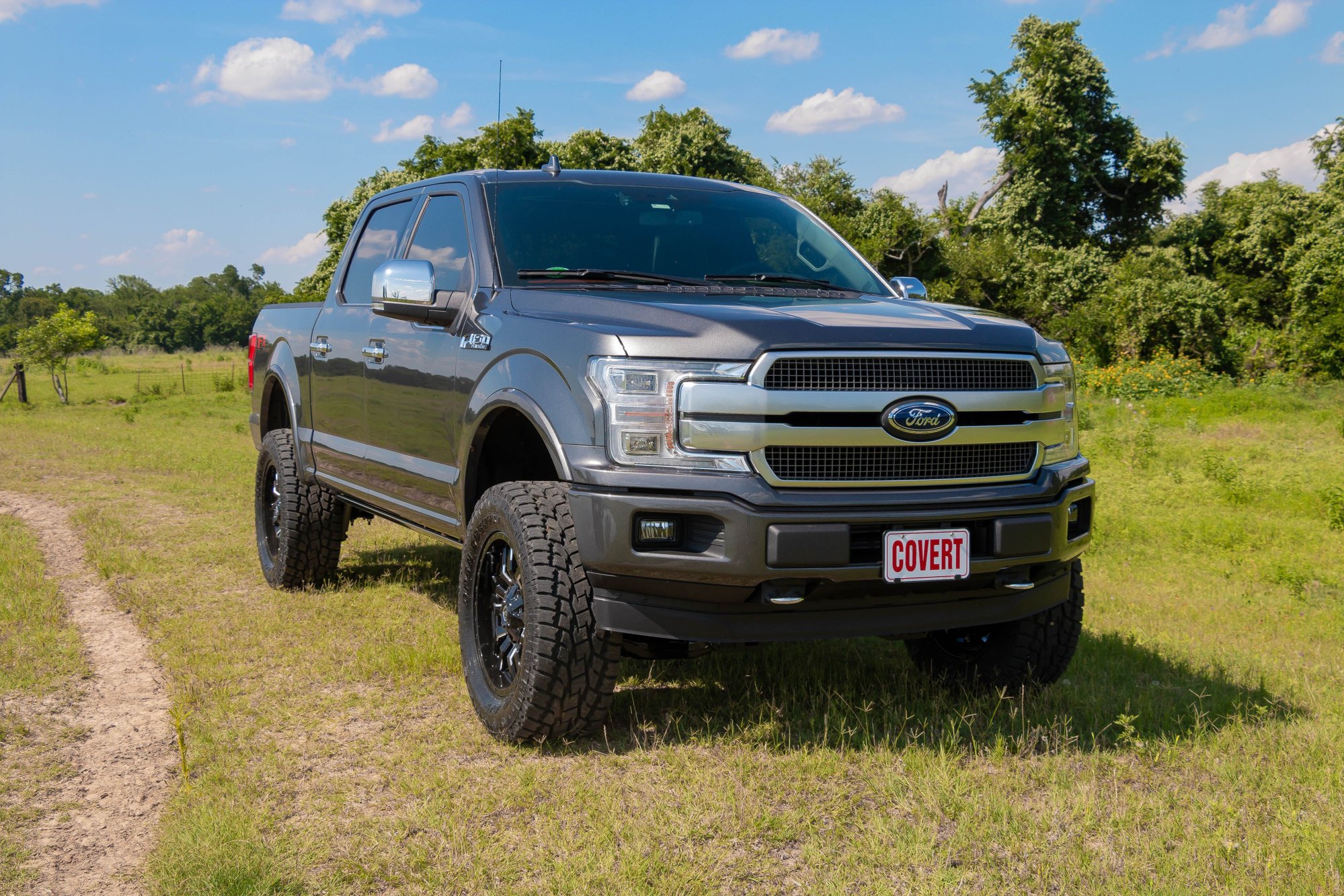 Let's see those Magnetic F-150's! - Page 142 - Ford F150 Forum ...