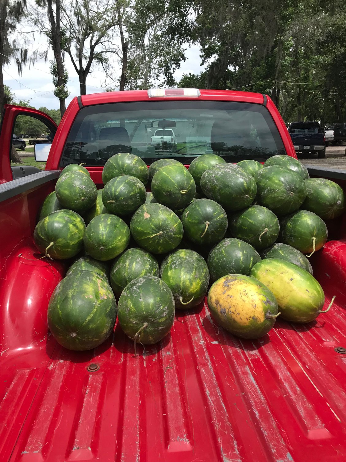 using your truck as a truck pics thread - Page 193 - Ford F150 Forum ...