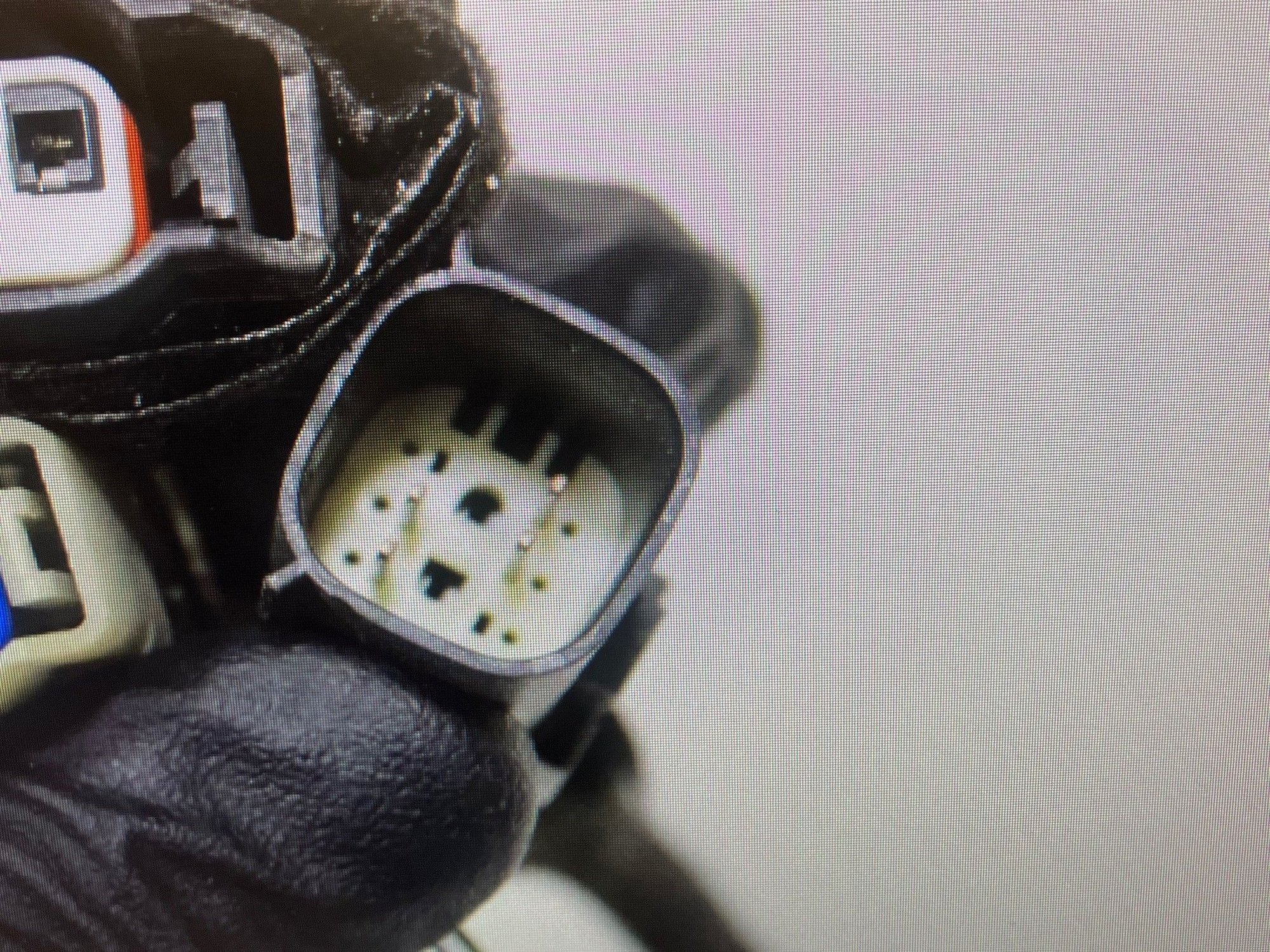 Identify this plug? - Ford F150 Forum - Community of Ford Truck Fans