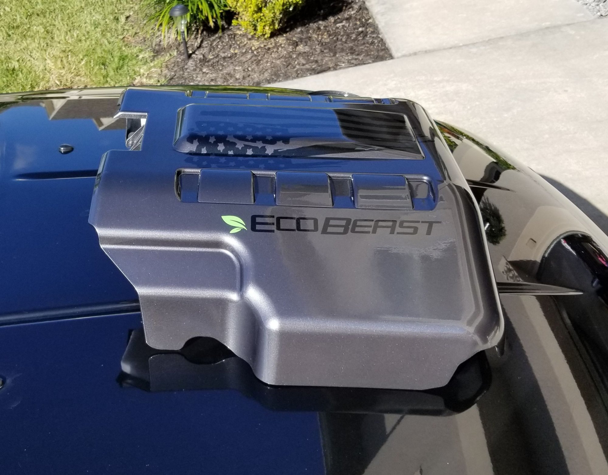 Custom EB engine covers? Show 'em! - Page 2 - Ford F150 Forum ...
