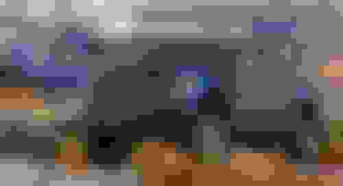 FTX All Terrain - Ford F150 Forum - Community of Ford Truck Fans