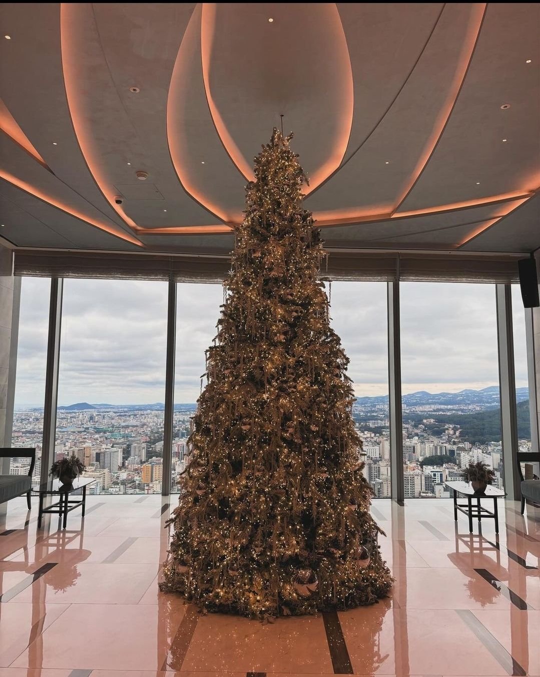 Post your Hyatt Christmas tree - Page 3 - FlyerTalk Forums