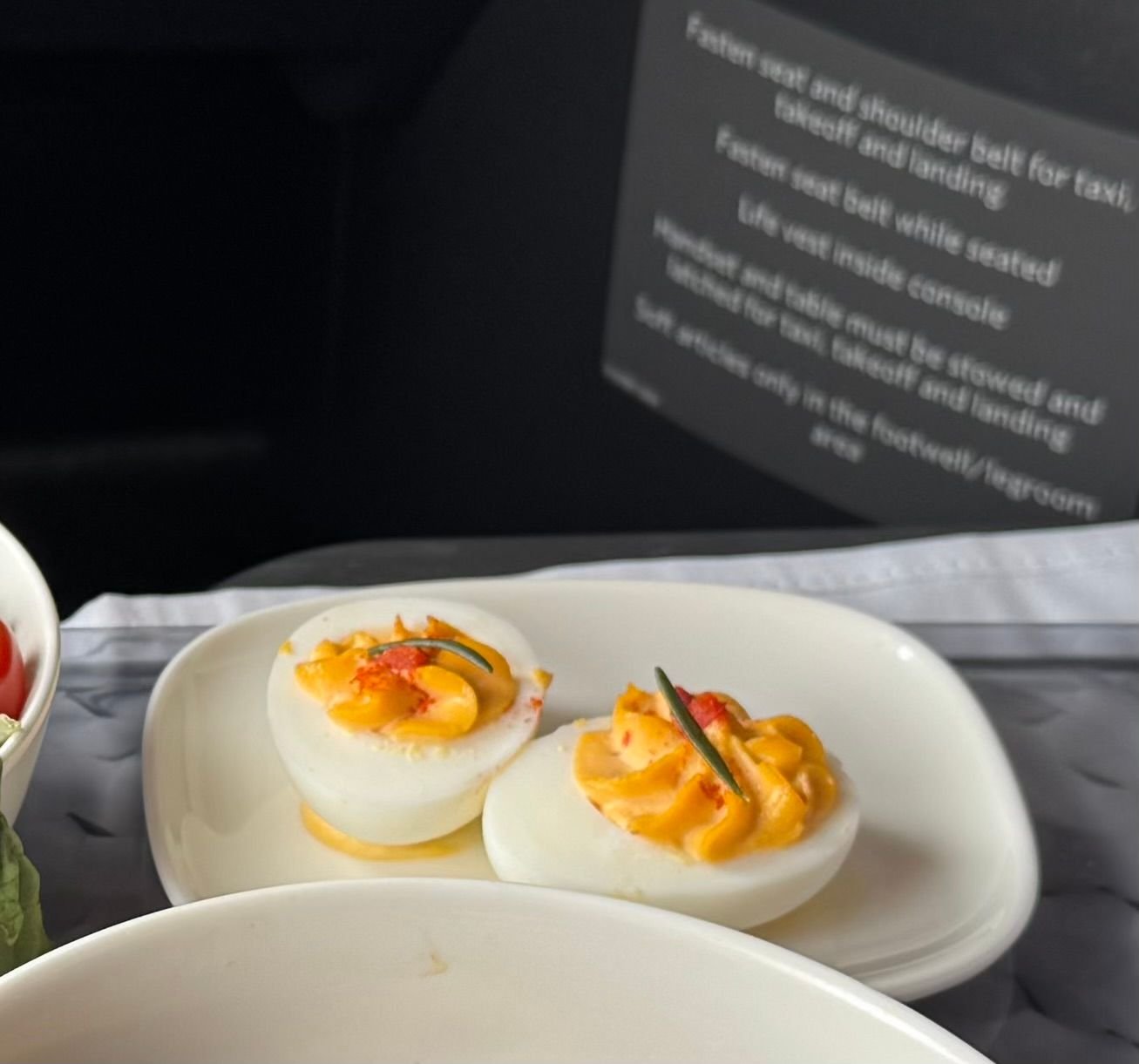 Delta In-Flight Meal/Food Service: The Definitive Thread — 2025 Edition ...