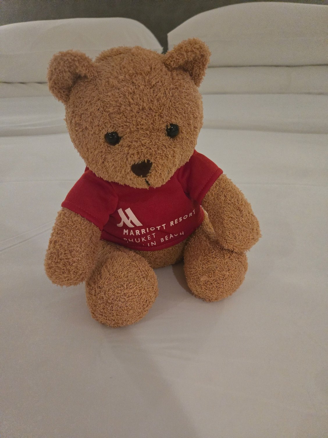 Marriott Plush toys - FlyerTalk Forums