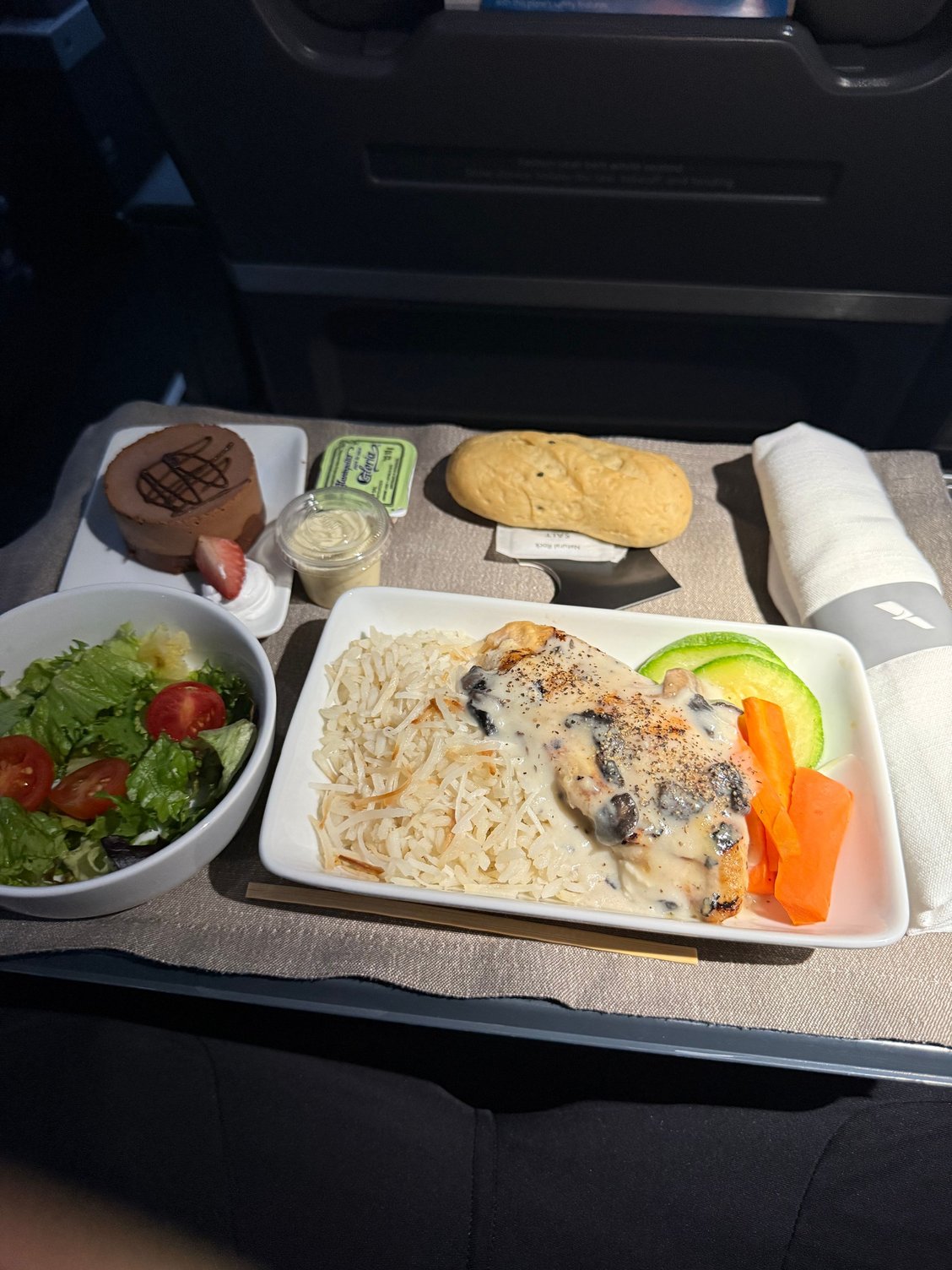 2025 AA Domestic Meal / Meals - menu / photos / etc. (master thread ...