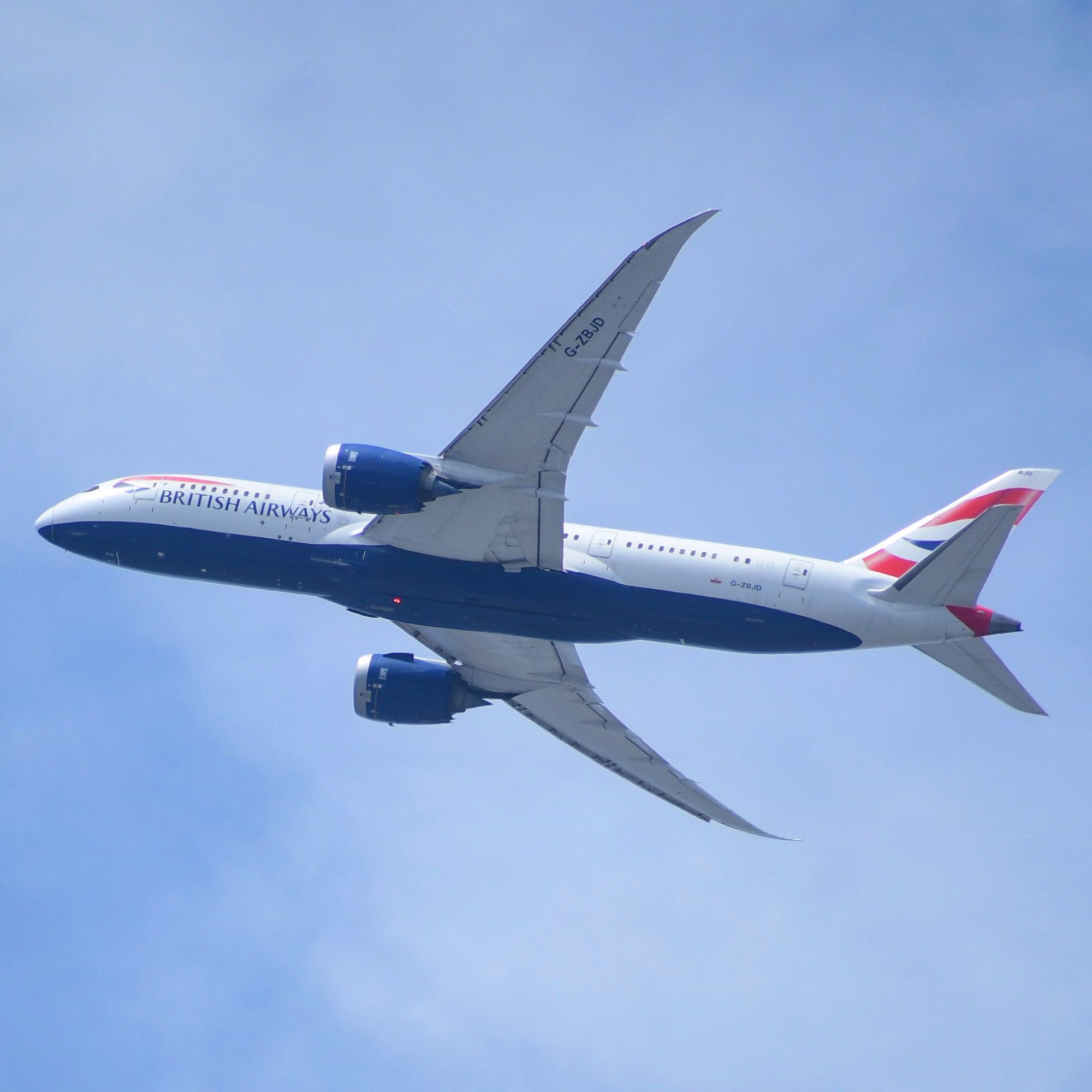 Cargo and repatriation flights aircraft utilization - Page 3 ...