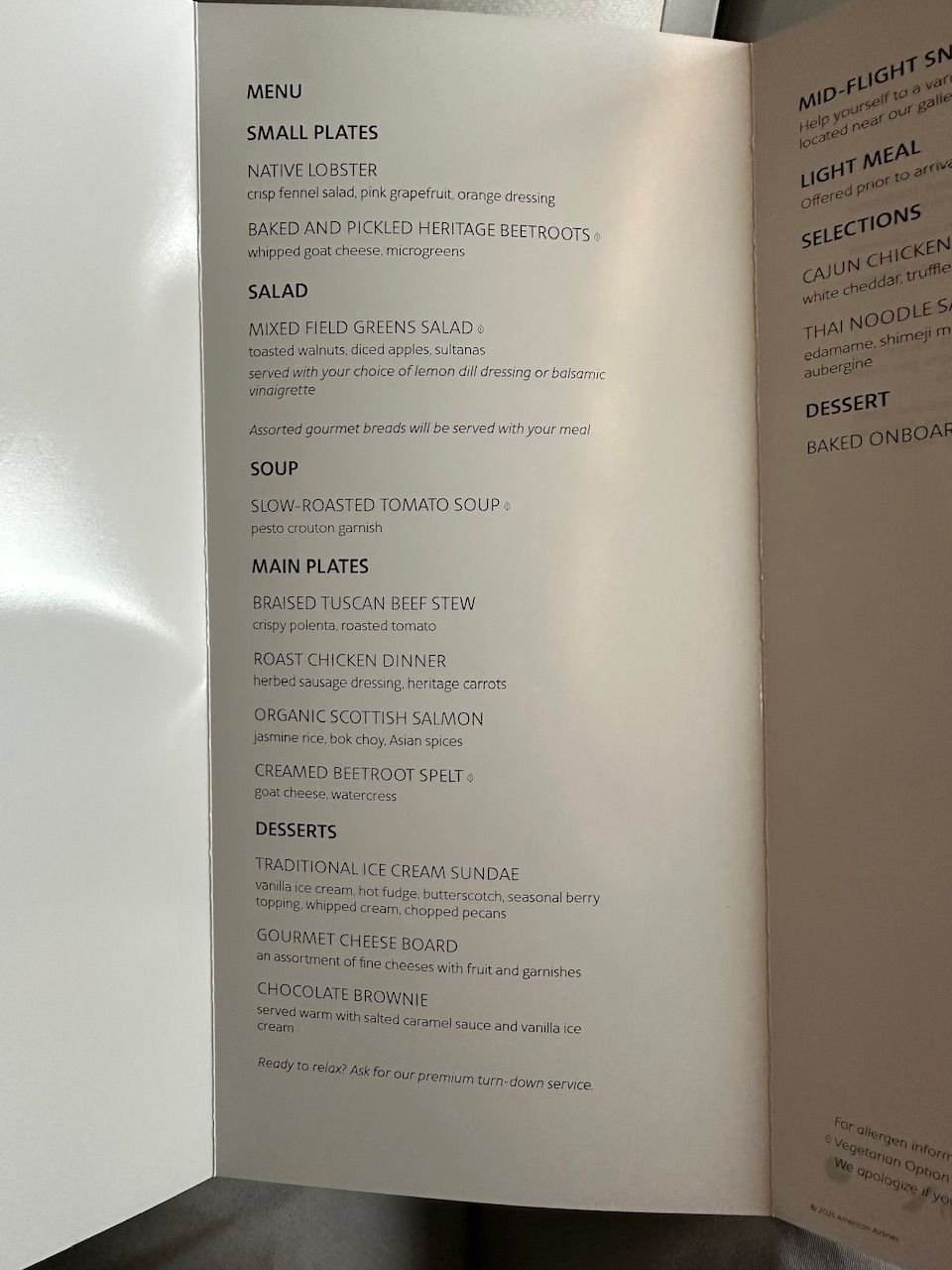 2025 AA International Meal / Meals - menu / photos / etc. (master ...