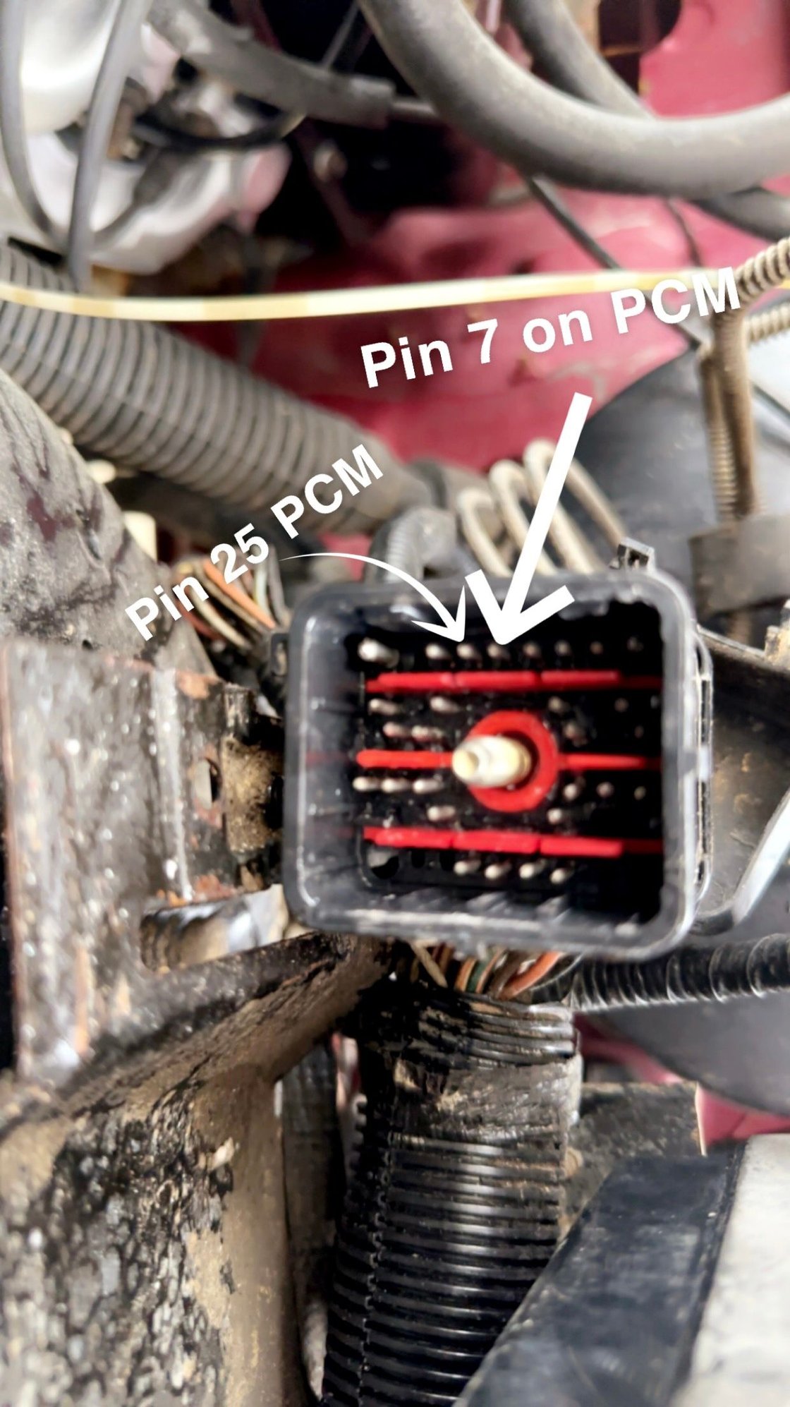 Code 118 continuity test 95 150, 351w - Ford Truck Enthusiasts Forums Code 118 continuity test 95 150, 351w - Ford Truck Enthusiasts Forums