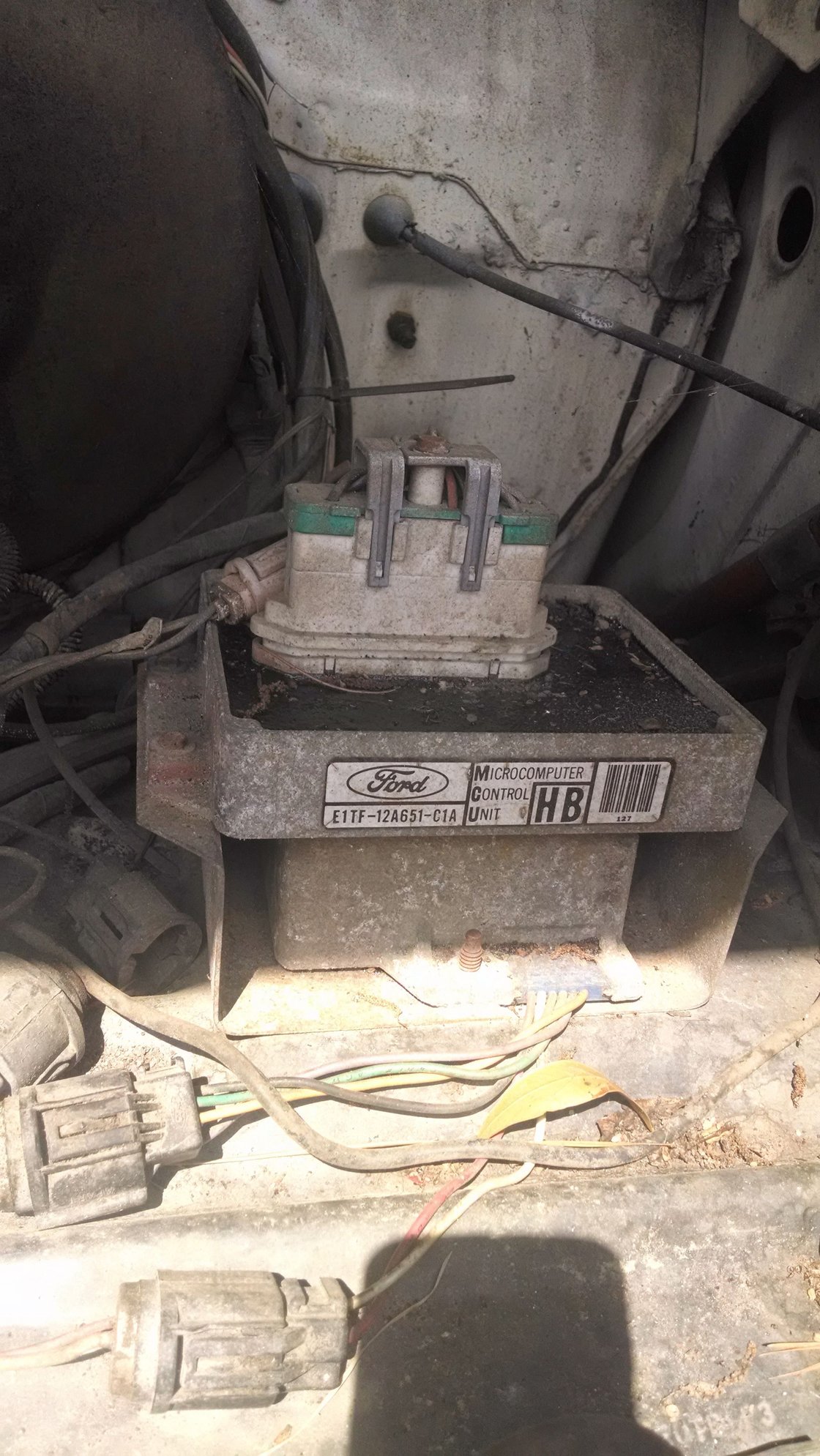 1981 F250 Custom o2 Sensor - Ford Truck Enthusiasts Forums