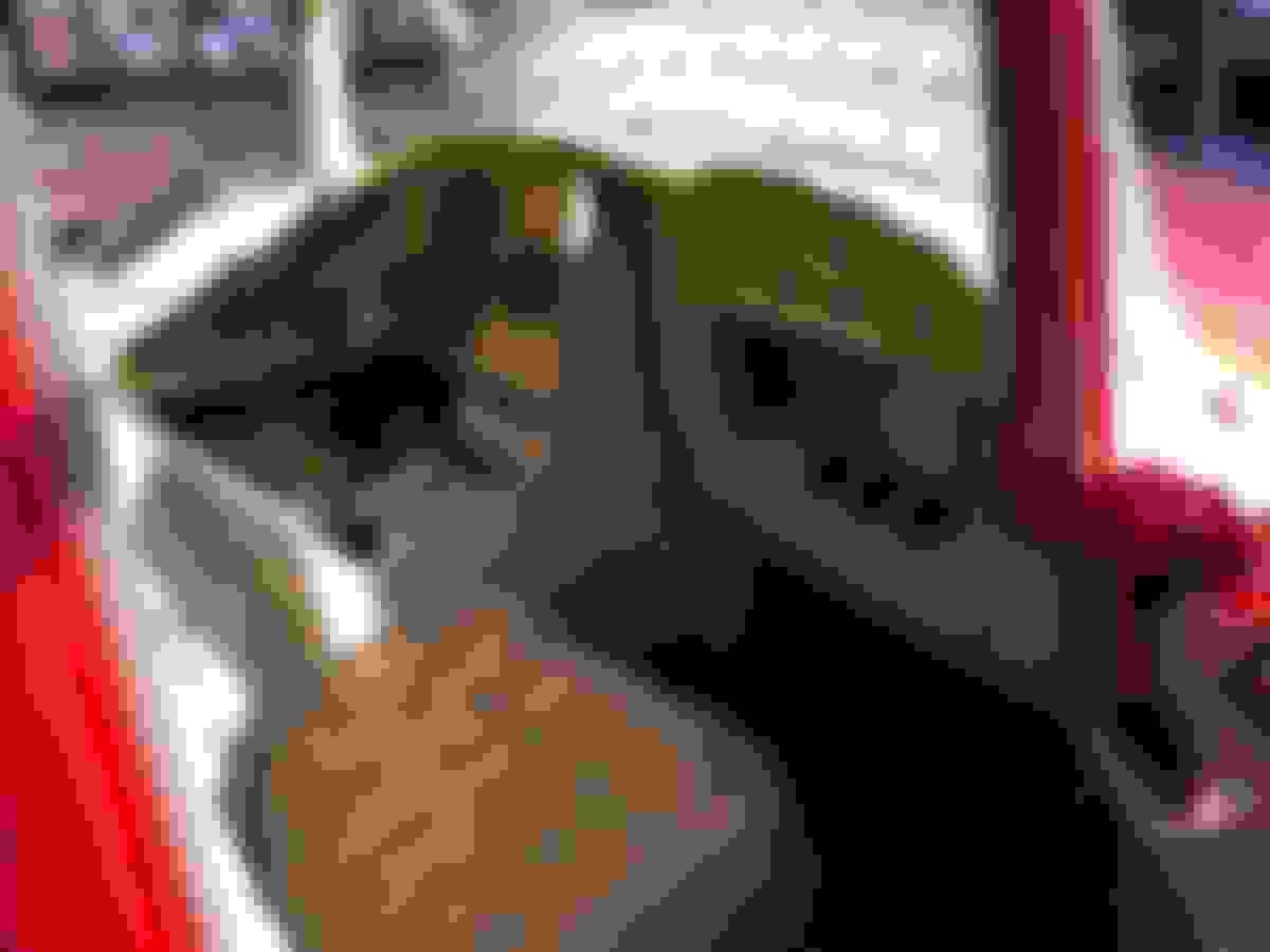 How about this '56 interior - Blast from the past! - Ford Truck ...