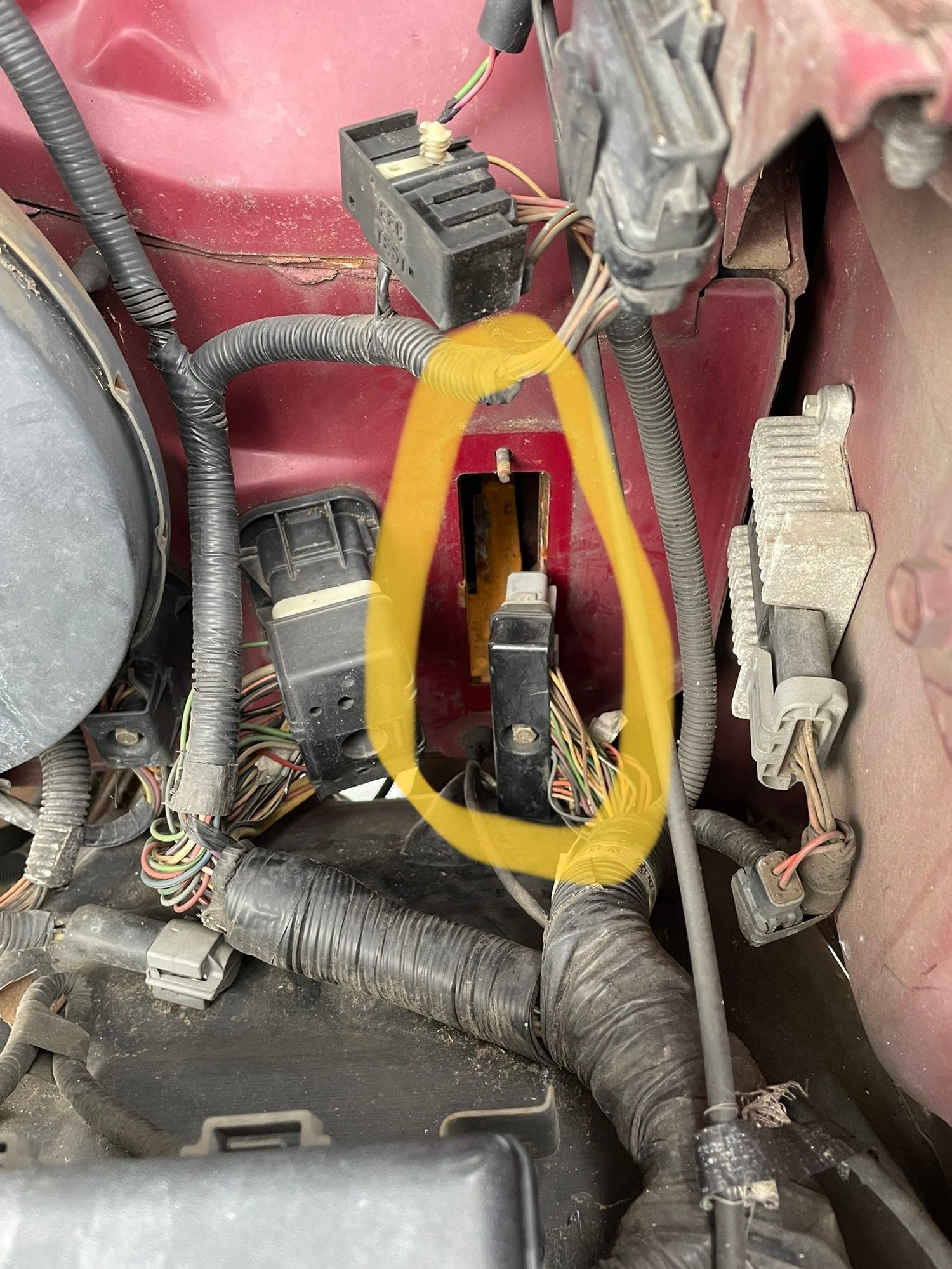 Where does this connector go? - Ford Truck Enthusiasts Forums