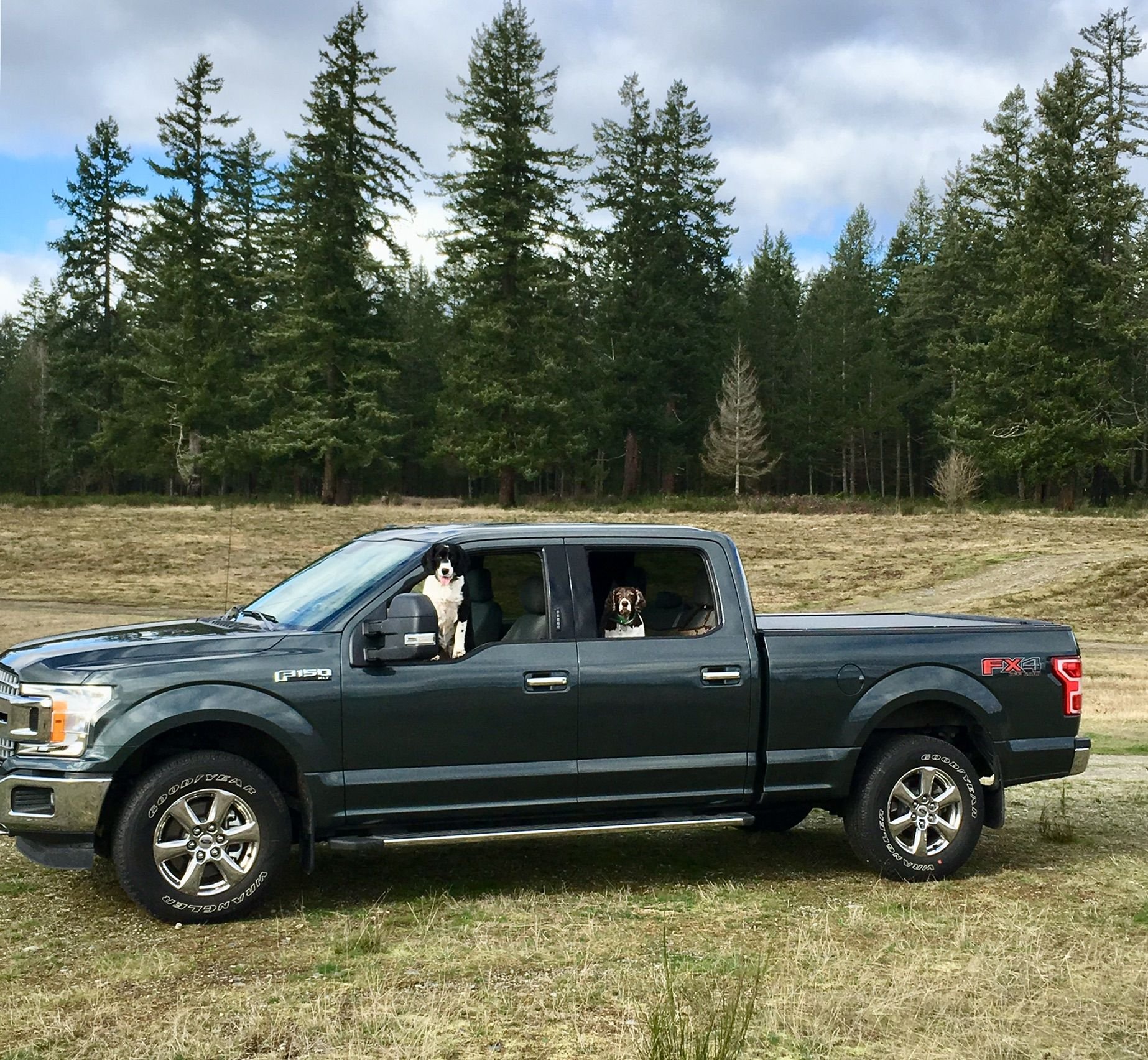 Question about 2018 F150 color - Ford Truck Enthusiasts Forums
