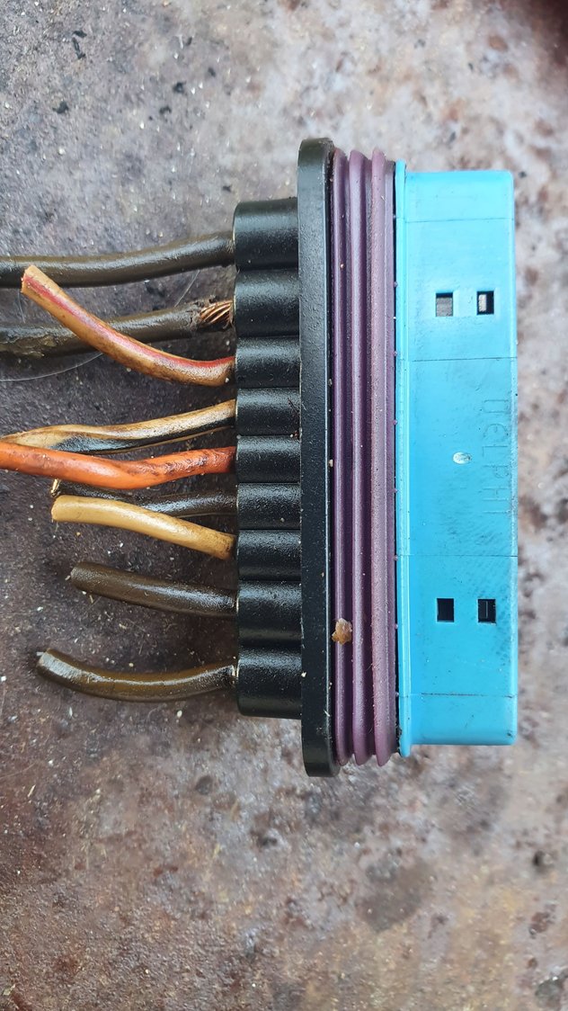 P1316 code. Did Cct and buzz test - Ford Truck Enthusiasts Forums