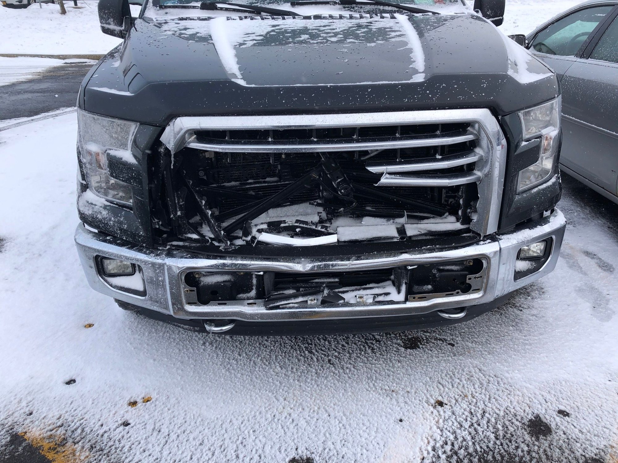 Stupid Deer - Ford Truck Enthusiasts Forums