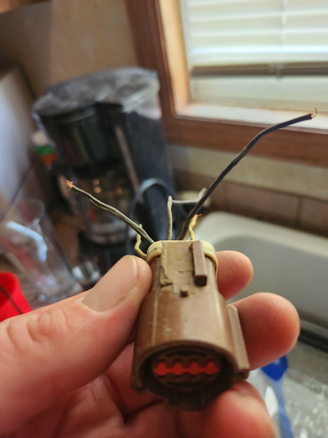 08 F150 5.4 Fan clutch harness question - Ford Truck Enthusiasts Forums