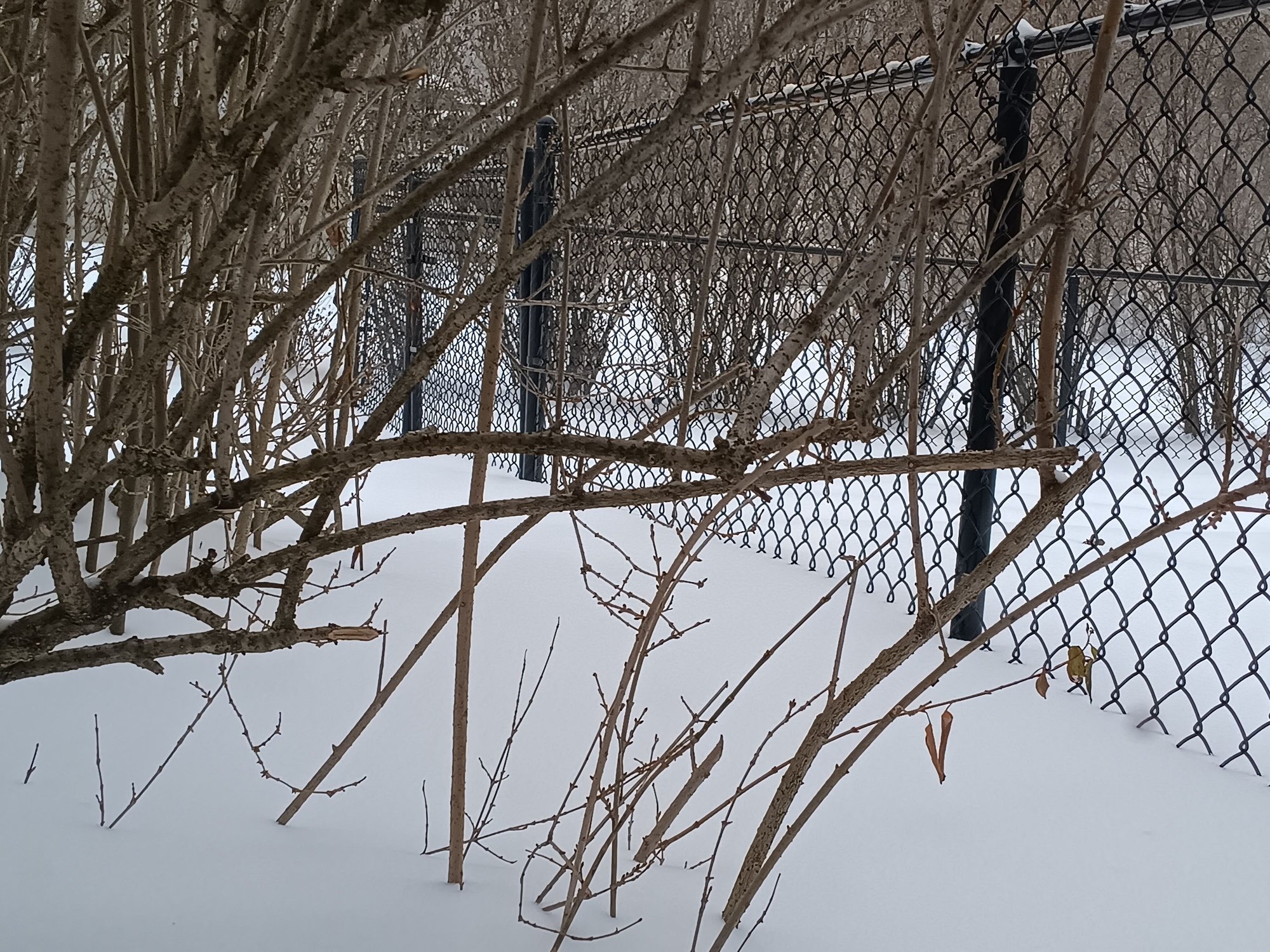 WELCOME TO 2026 - Page 16 - Ford Truck Enthusiasts Forums