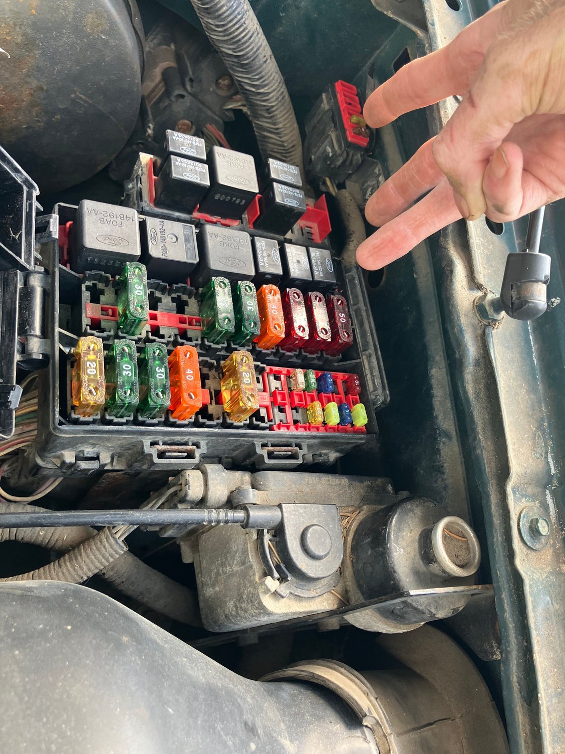 NEW MEMBER Introduction Thread (NO TECH QUESTIONS) - Page 1442 - Ford ...