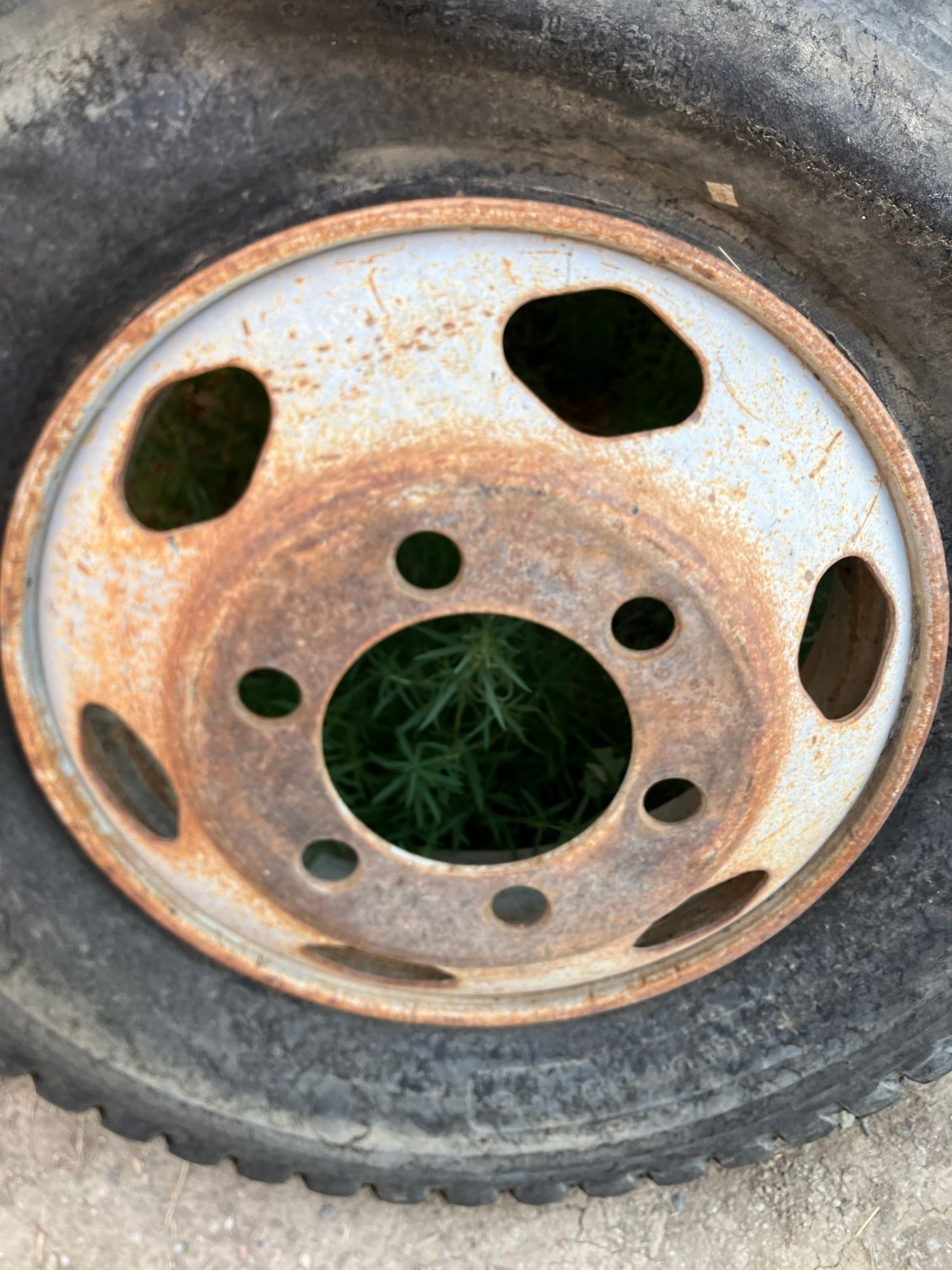 Other widow maker wheels - Ford Truck Enthusiasts Forums