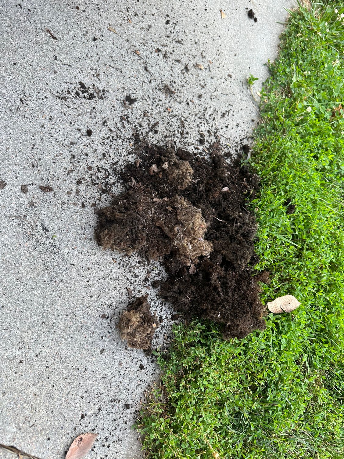 Skeeter the 71 bump side build - Page 5 - Ford Truck Enthusiasts Forums