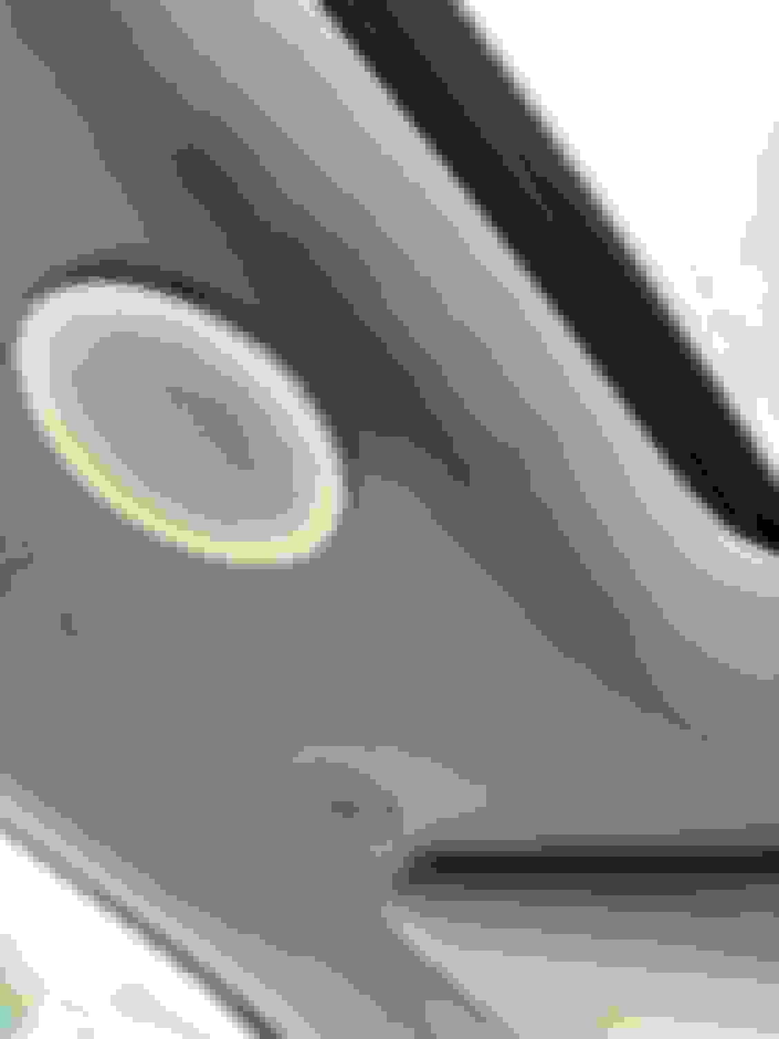 Water intrusion above driver. - Ford Truck Enthusiasts Forums