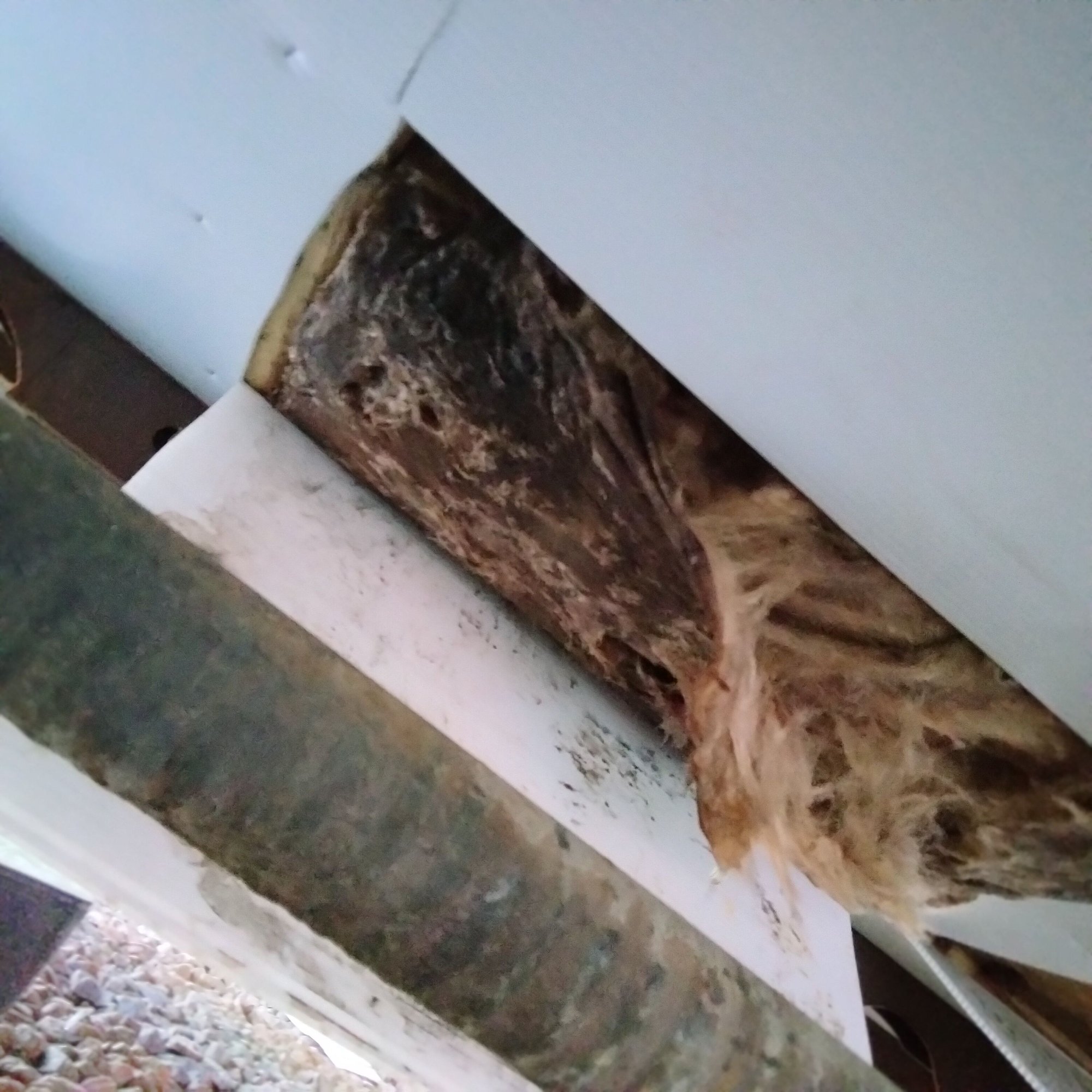 Shasta Disasta Rebuild - Page 4 - Ford Truck Enthusiasts Forums