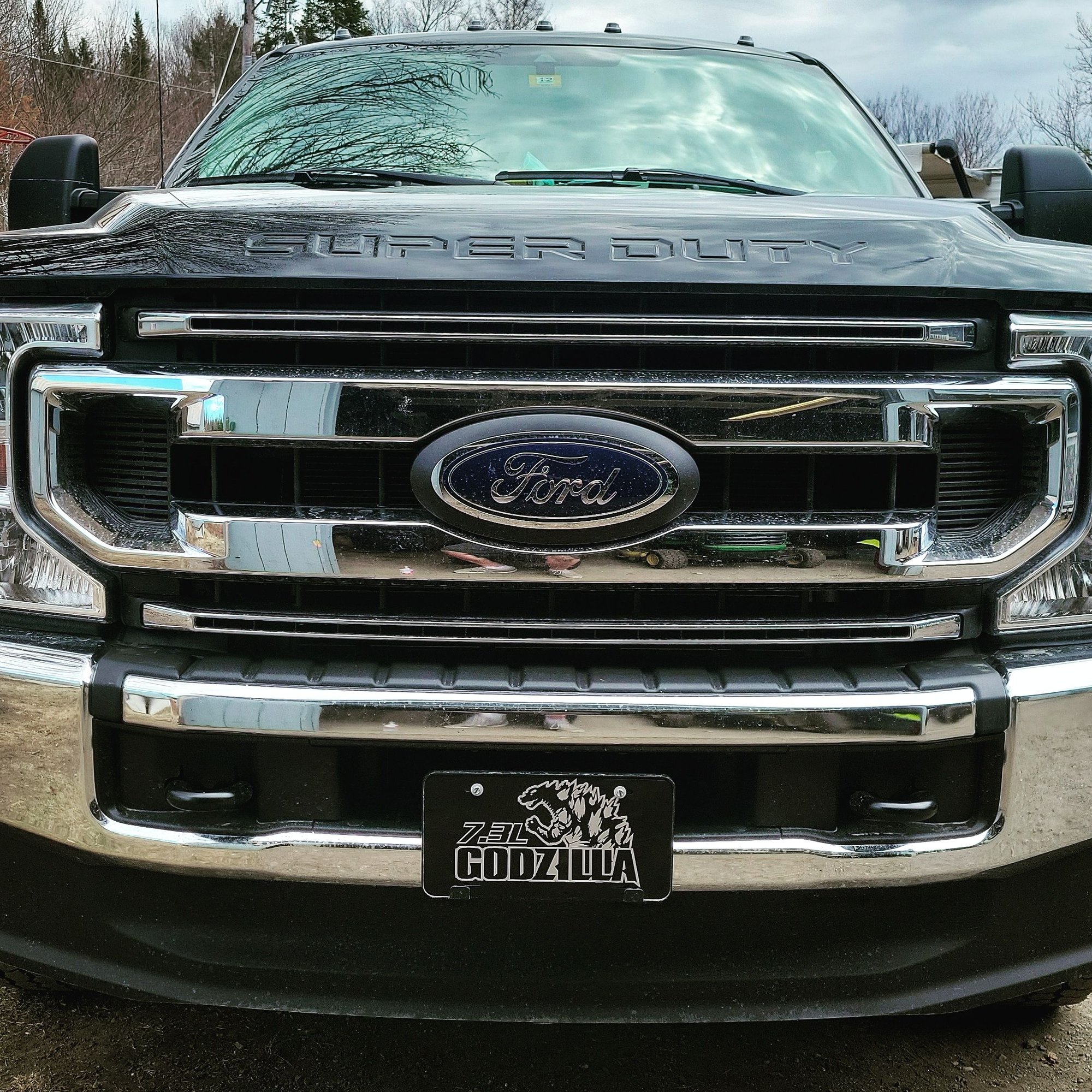 7.3L Godzilla emblem- waaddaya think? - Page 3 - Ford Truck Enthusiasts ...