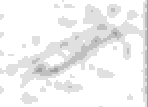 2023 F250 Workshop manual and wiring diagrams - Ford Truck Enthusiasts ...