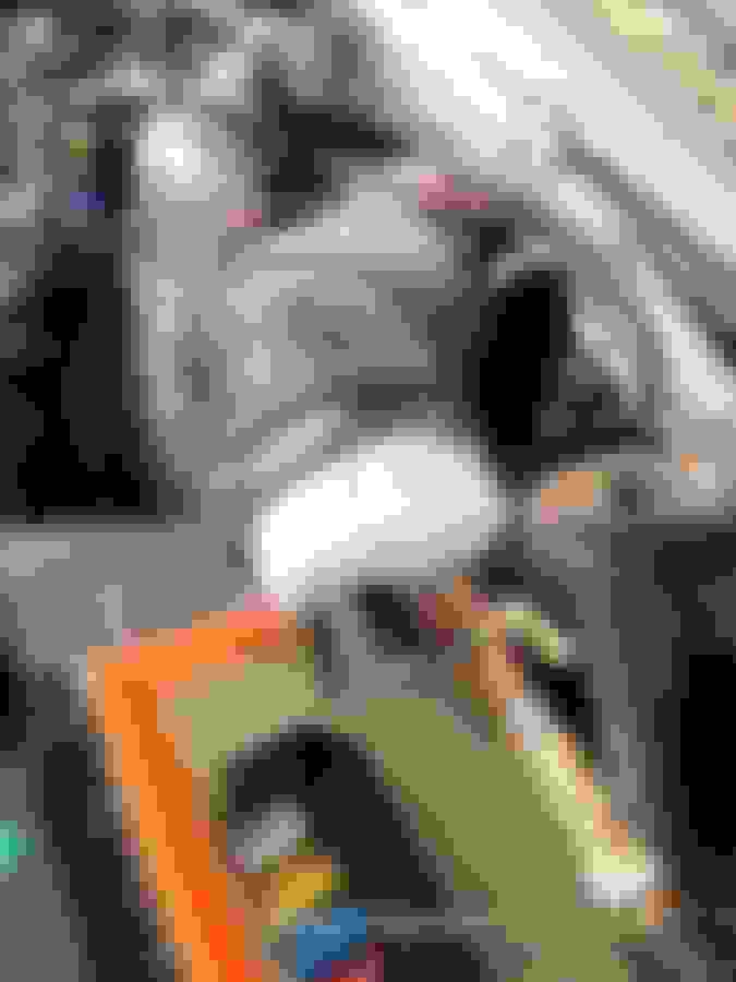 Testing for Boost Leak --- location to check from - Ford Truck ...