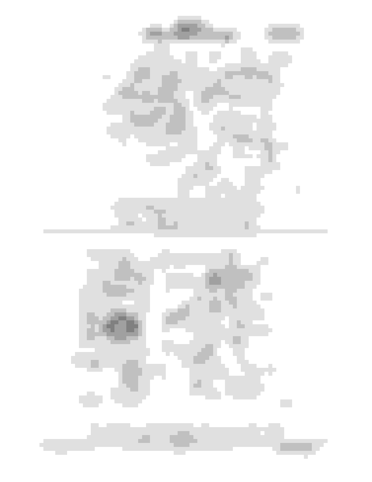 Air Assembly Snorkel, and Smogging Advice - Ford Truck Enthusiasts Forums