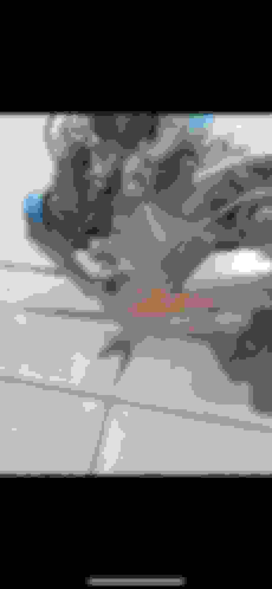 Decode engine Casting numbers? - Page 2 - Ford Truck Enthusiasts Forums