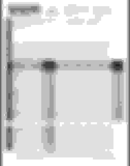 Oil Analysis - MBWorld.org Forums