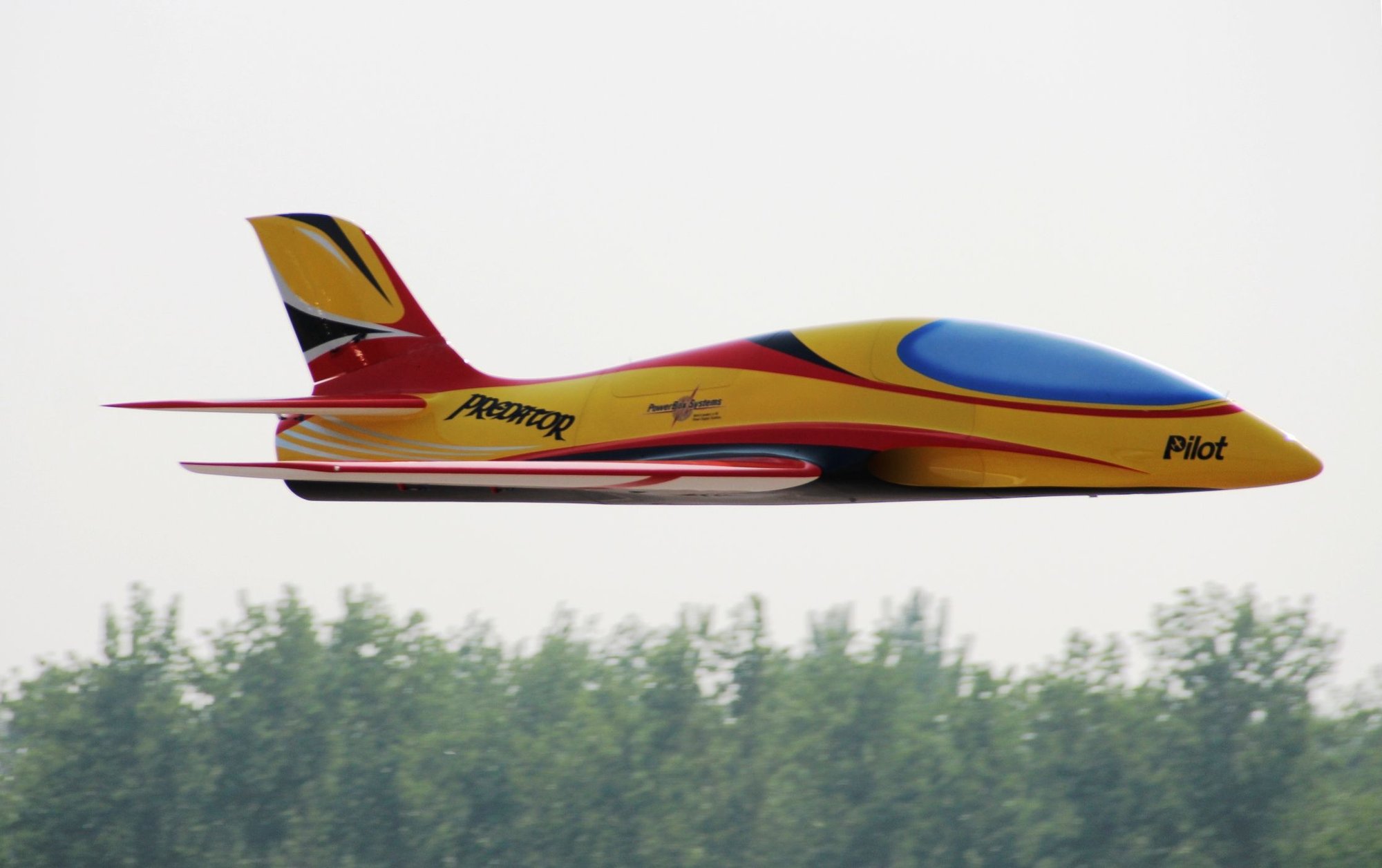 Pilot-RC 3.2m predator sport jet - RCU Forums