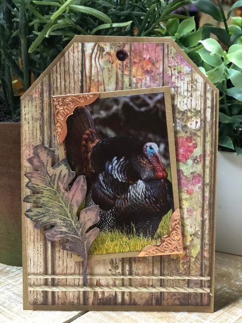 WT1077 Let’s Play Tag Oct 30, 2025 - Splitcoaststampers
