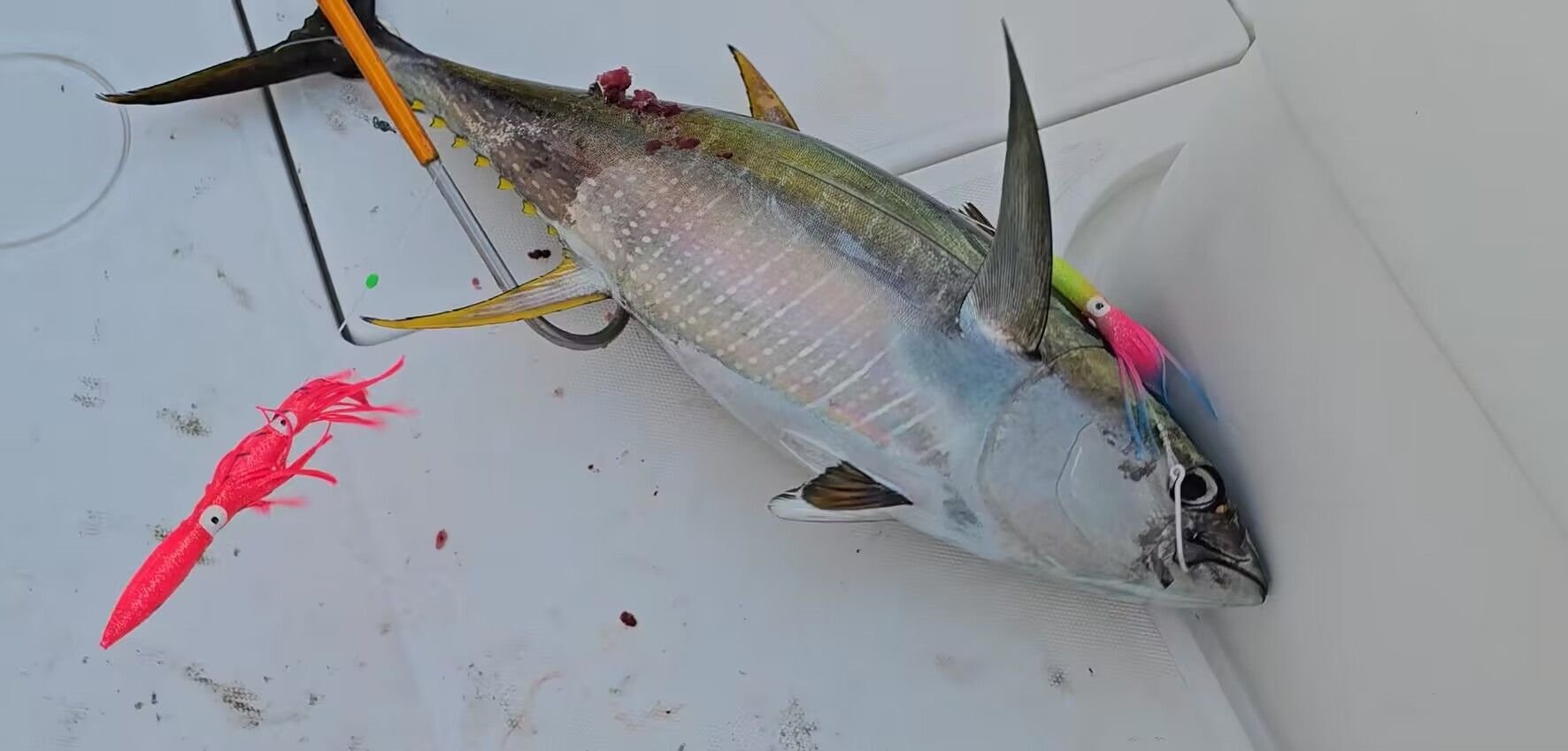 36" Fishing Spreader Bar Splasher/Port/Starboard Walker | Bloodydecks