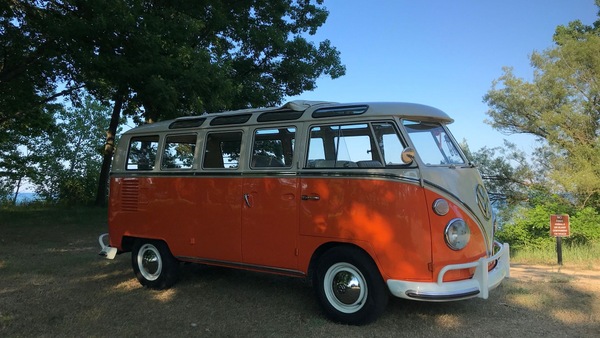 1967 VW Bus attracts the kind buds we all need