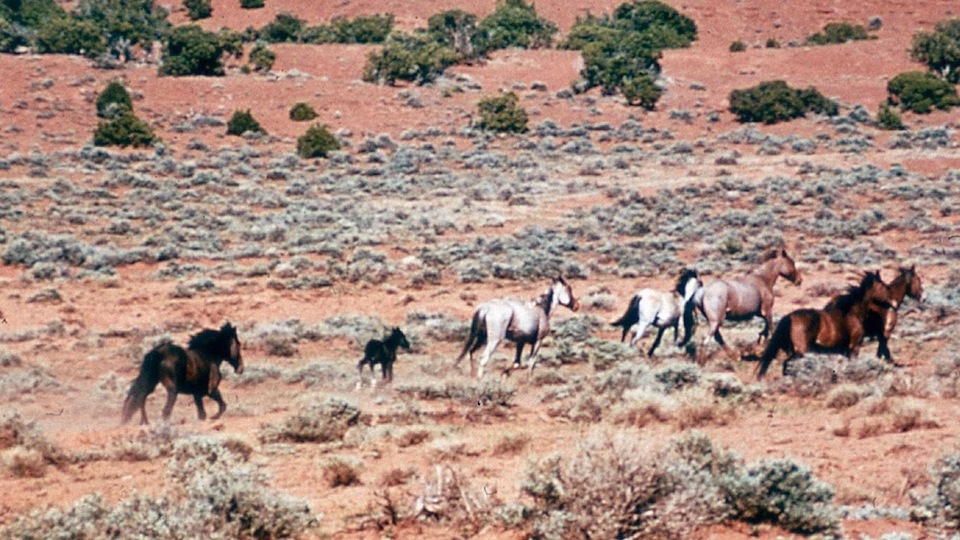 Car Spy Shots, News, Reviews, and Insights - Motor Authority