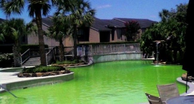 2400 Briarwest - 667 Reviews | Houston, TX Apartments for Rent ...